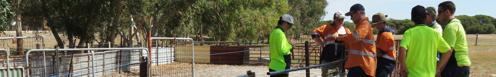 The PBS Matrix - Pinjarra Senior High School