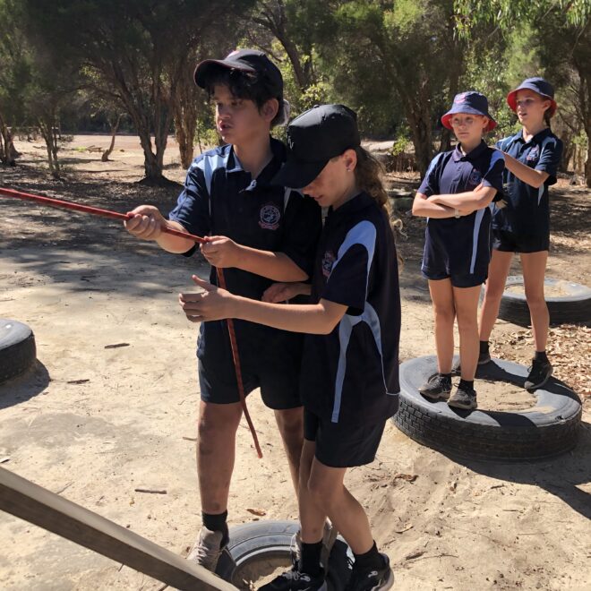 Term 1 Newsletter - Pinjarra Senior High School